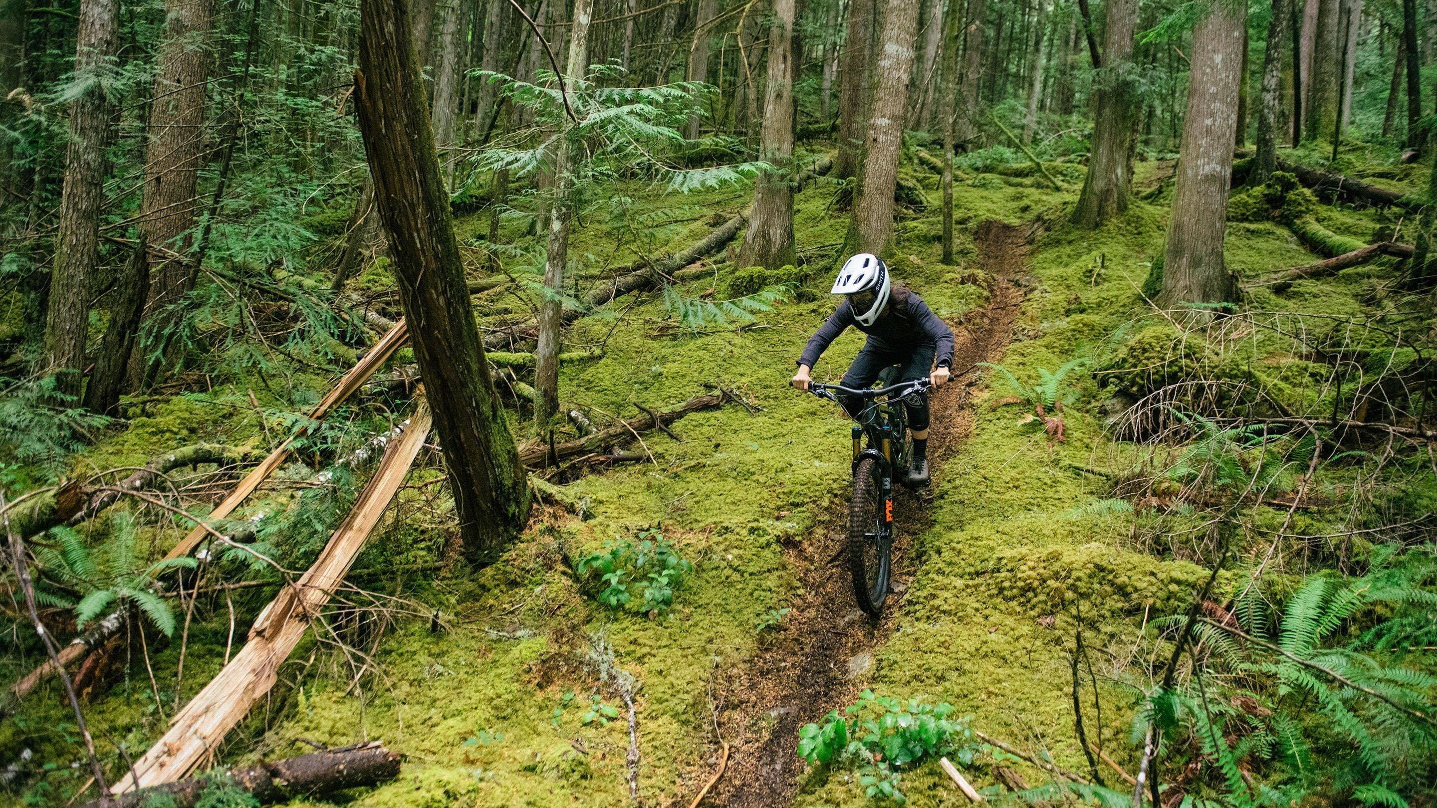 Gambit | Specialized.com.cn